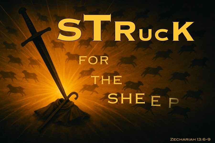 Struck for the Sheep: The Shepherd, the Sword, and the Saving Fire ...